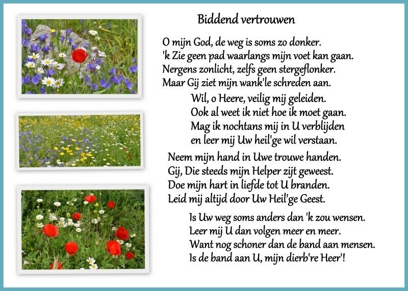 Biddend vertrouwen bloemen Israël | Israelwinkeltje Nunspeet